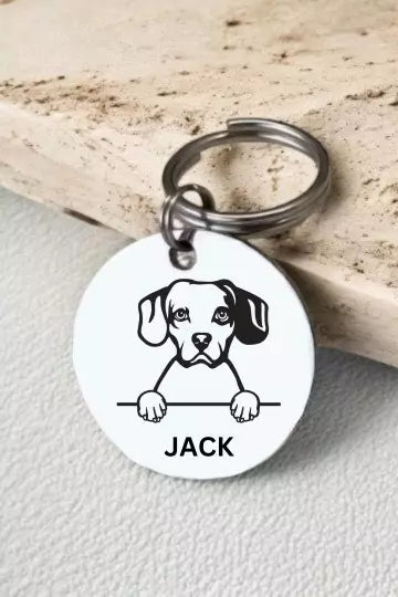 Cav A Jack Dog Tag Collar Personalized